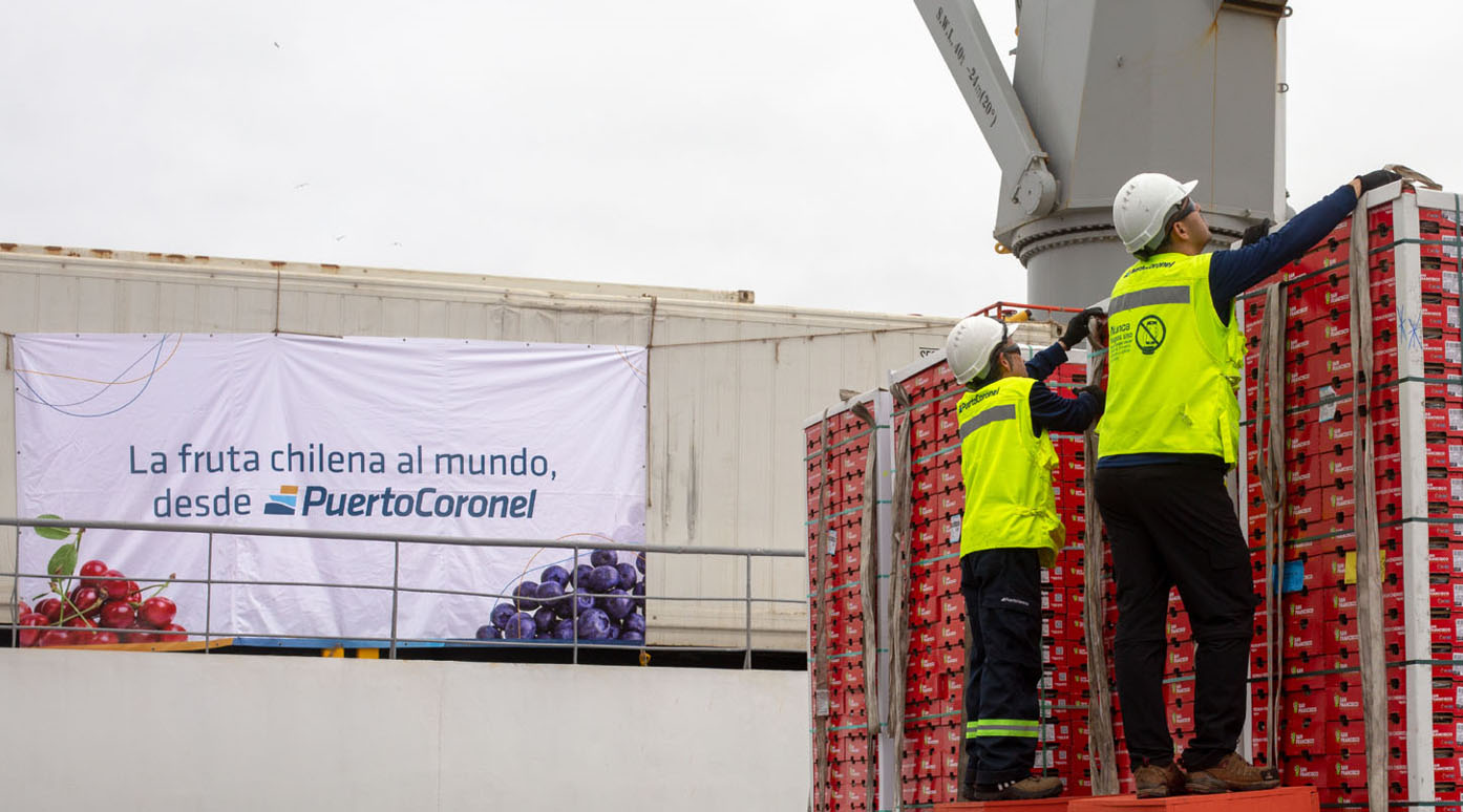 Puerto Coronel - Puerto Coronel inaugura servicio de fruta fresca ...